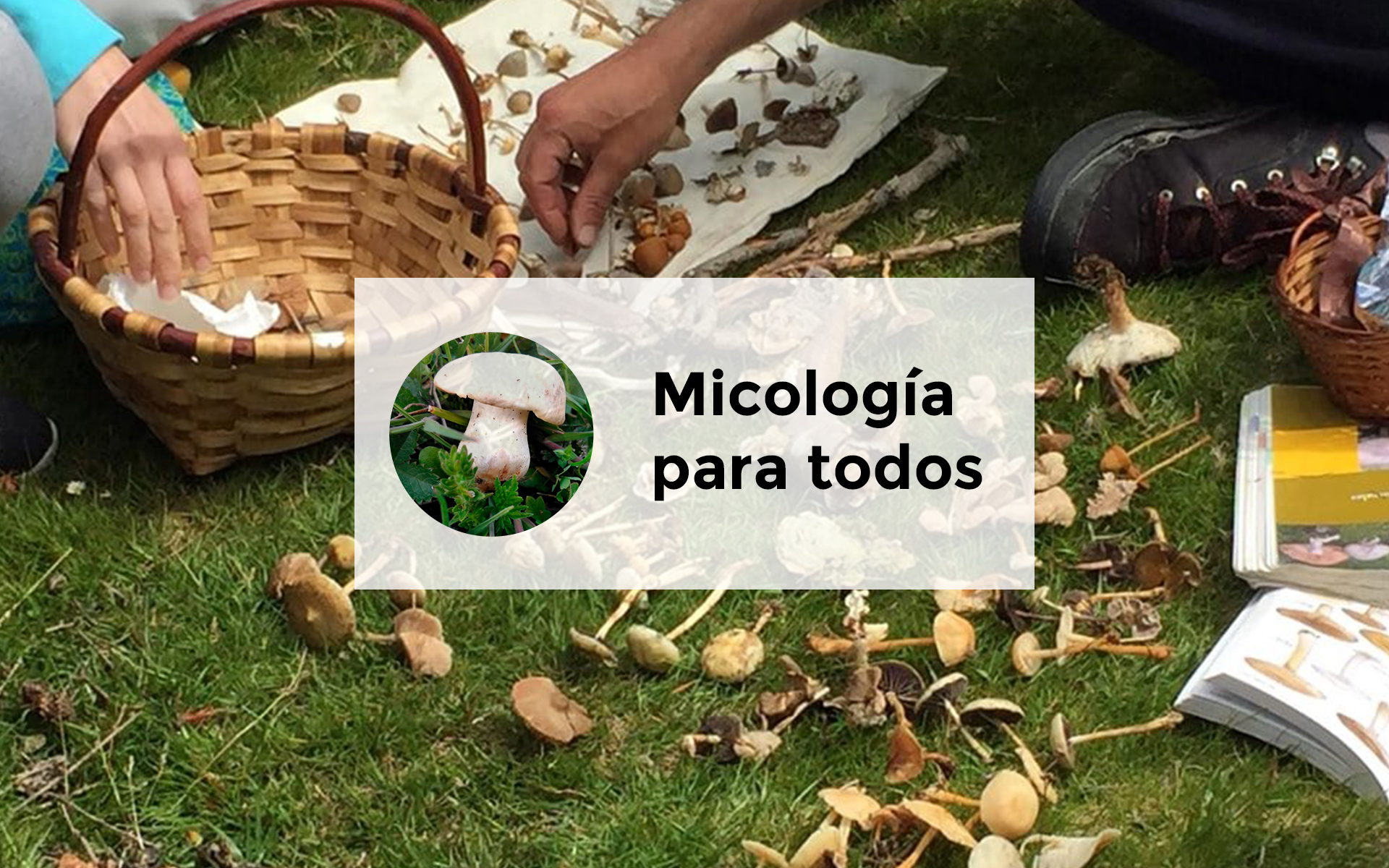 Micología para todos - Gure Laguntza.